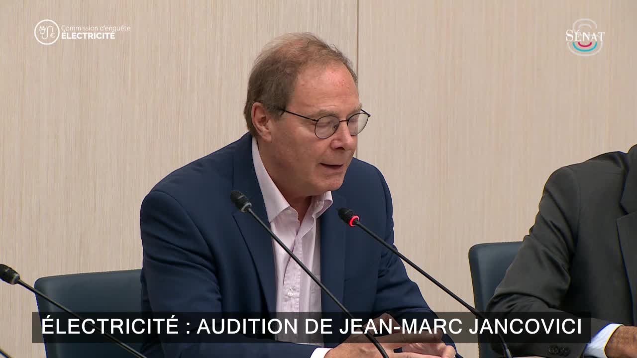 Electricité : audition de Jean-Marc Jancovici