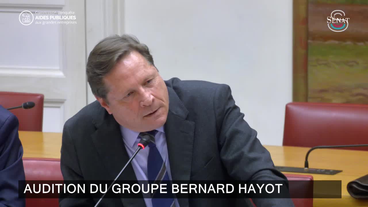 Aides aux entreprises : audition du groupe Bernard Hayot